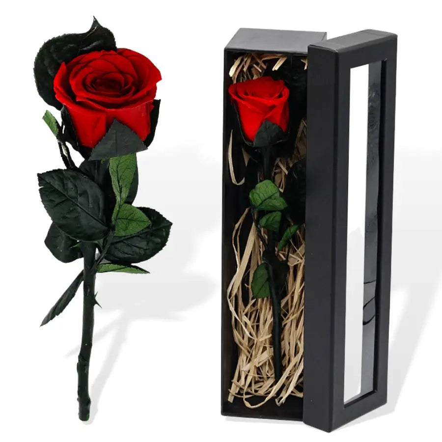 Classic Eternal Single Preserved Rose in Display Box - Romantic Gift ...